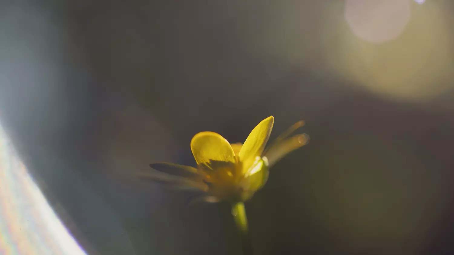 Proč vaše fotografie nemusí být ostré 142673_6