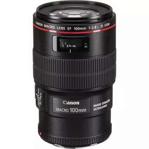 Якія RF-аб'ектывы Canon вы хочаце бачыць у 2021 годзе? 143751_4