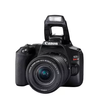 Canon Rebel ដំបូងបង្អស់ជាមួយនឹងវីដេអូ 4K៖ SL3 ថ្មីគឺជាកាមេរ៉ា EOS តូចបំផុត និងស្រាលបំផុត។ 144227_9