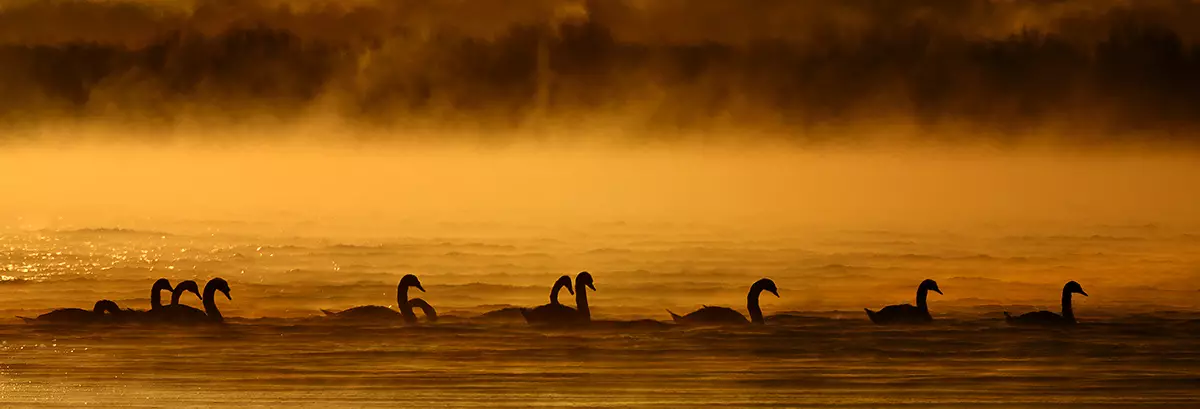 Auf Spiegellos umsteigen? Die Sicht eines Naturfotografen: Michelle Valberg 147252_5