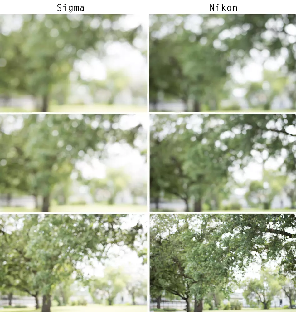 Celf yn erbyn Celf: Sigma Art 50 1.4 vs Nikon 58 1.4 152195_2