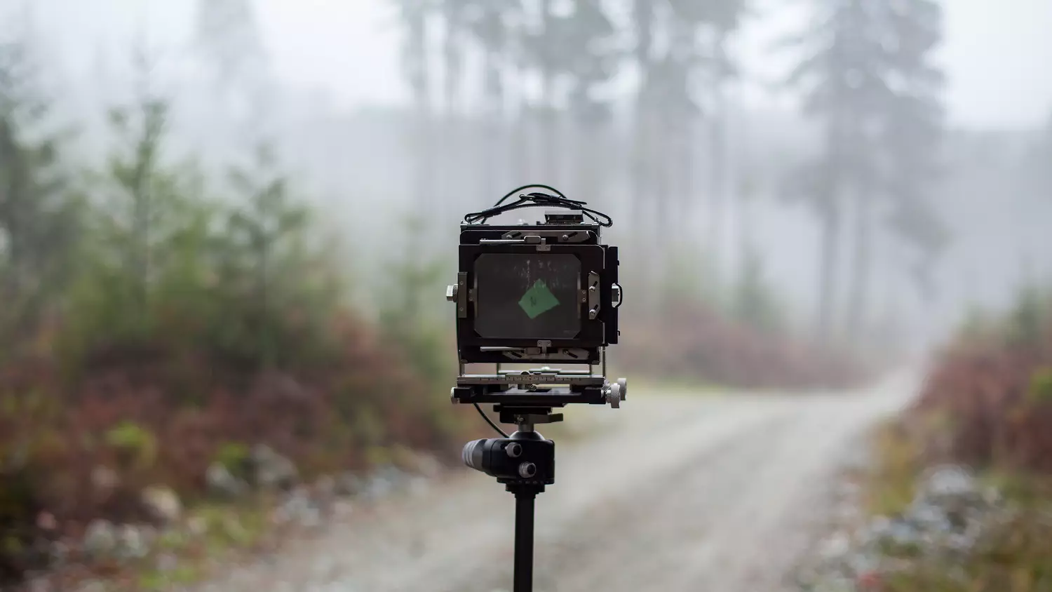 Un directeur de la photographie trouve 