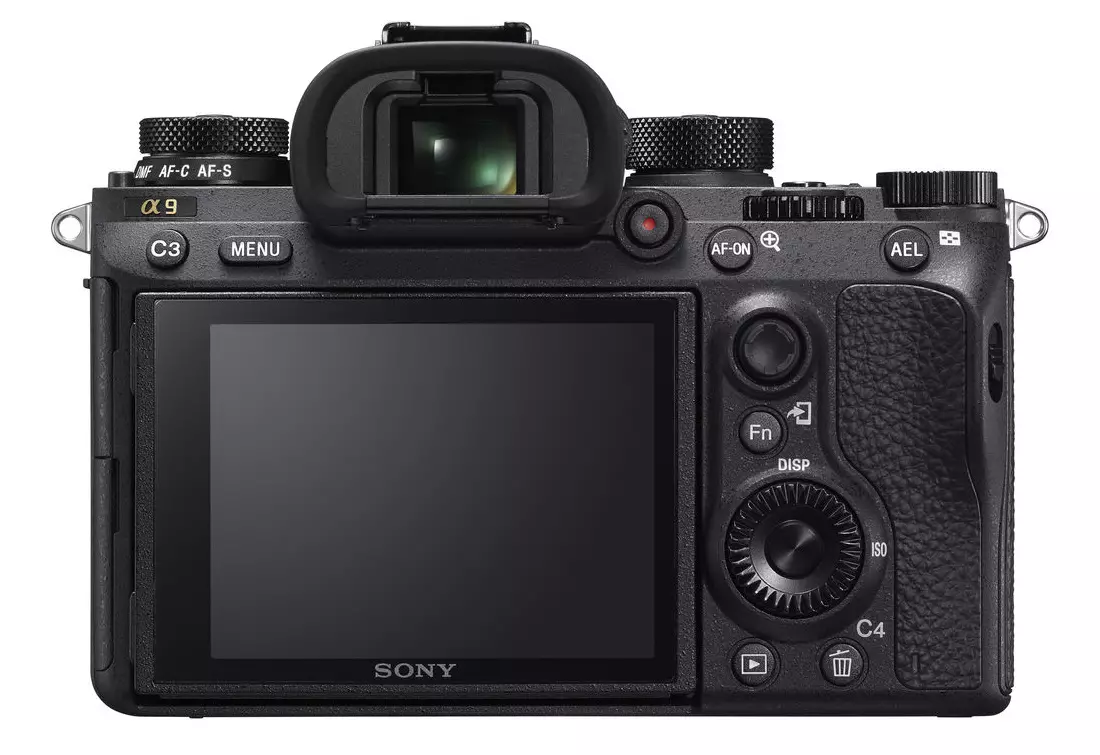 Izlet v gozd: fotografiranje divjih živali in ptic z brezzrcalnim fotoaparatom Sony a9 155658_2