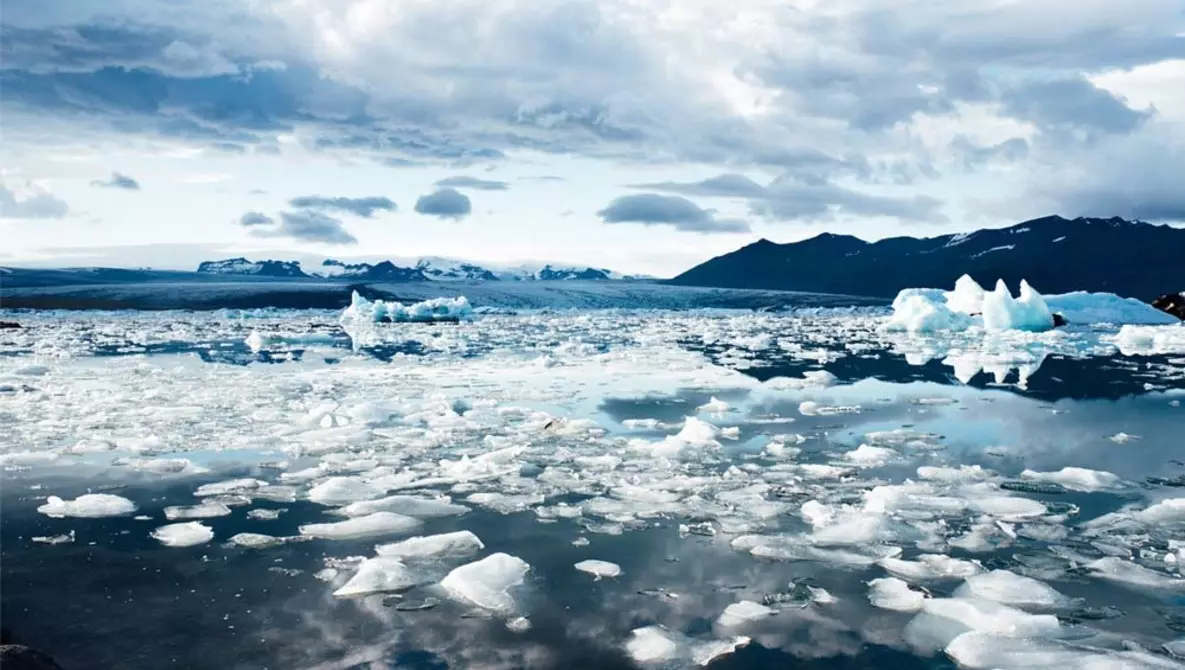 Une vidéo déchirante d'un ours polaire affamé illustre les effets dévastateurs du réchauffement climatique