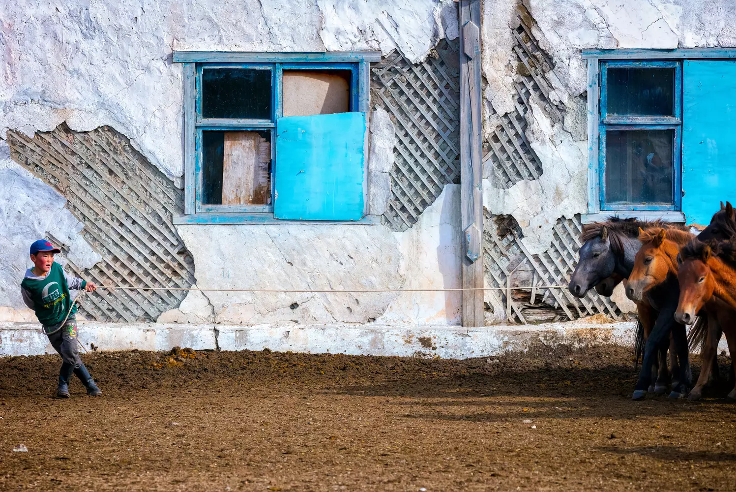 Iffilmjar ta' Dokumentarju fid-deżert Mongoljan għal Tliet Ġimgħat 163050_8