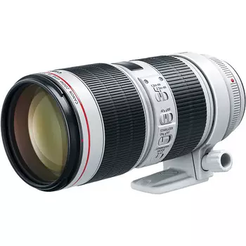 Canon EF 70-200mm f/2.8L IS III: പുതിയ പെയിന്റുള്ള എട്ട് വർഷം പഴക്കമുള്ള ലെൻസ്? 176090_3