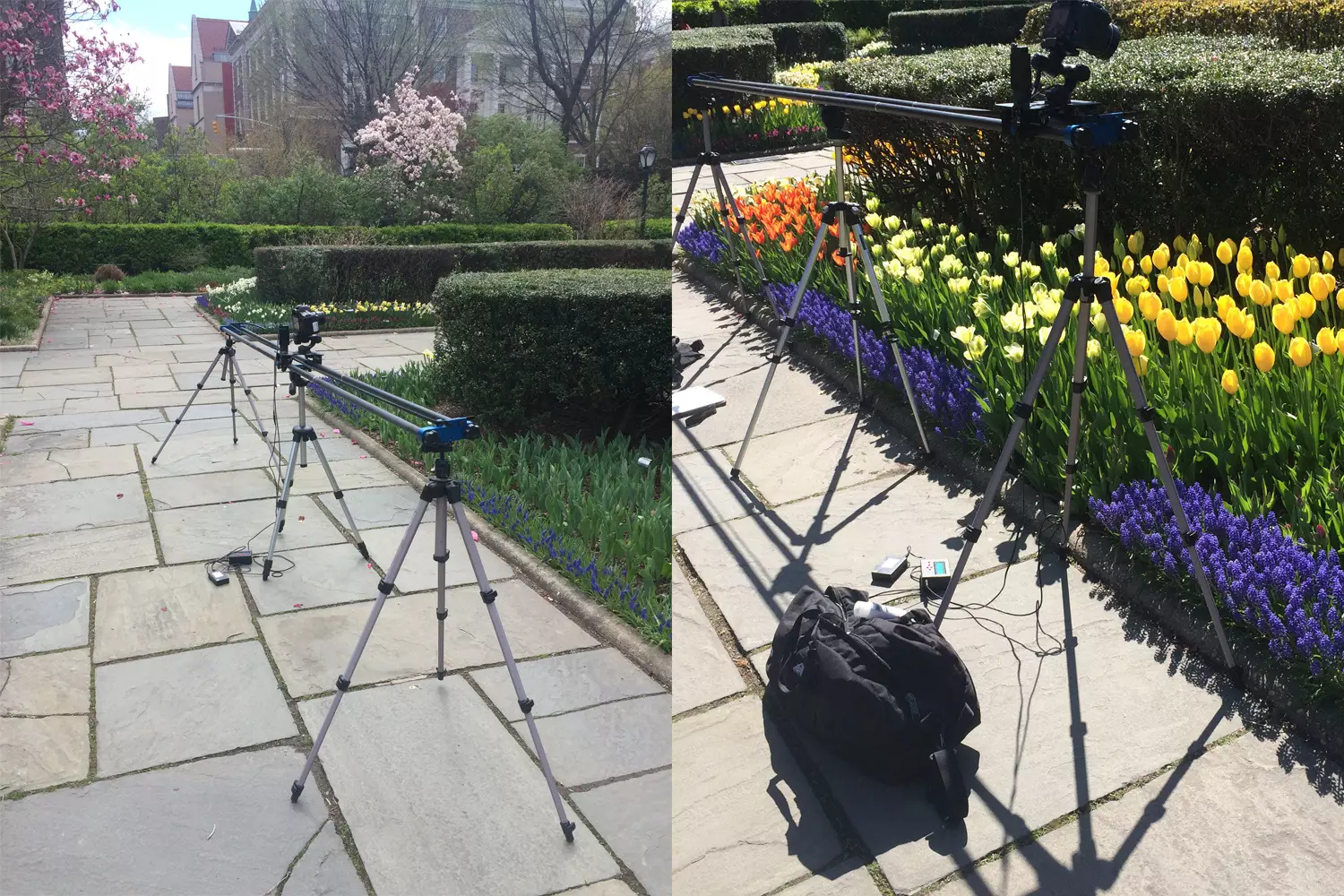 Το πιο όμορφο Flower Bloom Time-Lapse που πιθανότατα θα δείτε ποτέ και πώς κατασκευάστηκε 180824_5