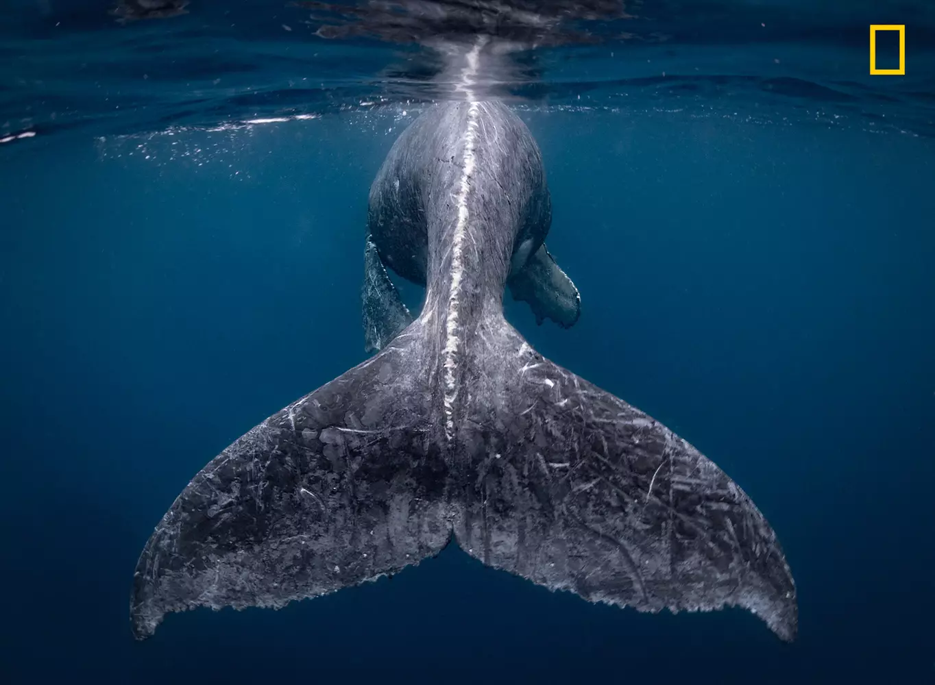 National Geographic, 2018 Yılın Seyahat Fotoğrafçısını Açıkladı 180904_1