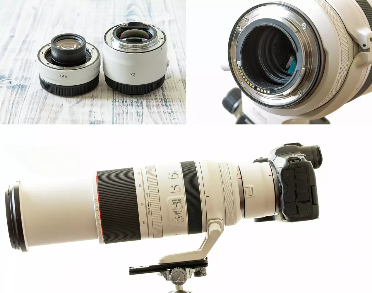Arvioimme Canon RF 100-500mm f/4.5-7.1L IS USM Mirrorless -objektiivin 2180_8