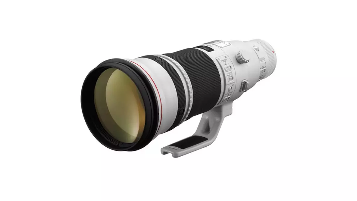 هل ستكون عدسة RF 500mm f / 4L IS Telephoto الأولى