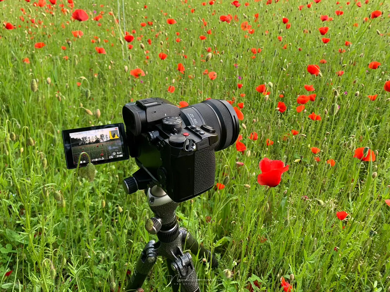 6 أسباب لاختيار كاميرا Canon EOS M50 Mark II الجديدة 23873_1