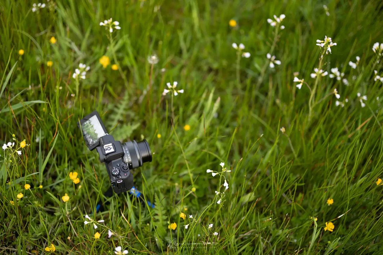 Täze Canon EOS M50 Mark II saýlamagyň 6 sebäbi 23873_12