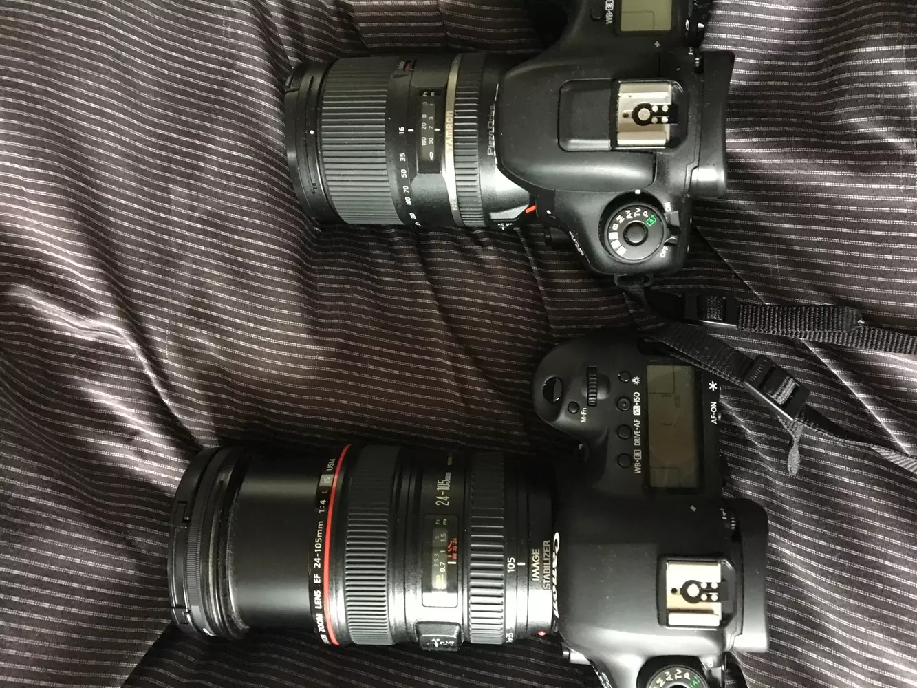 腾龙 16-300mm 是 APS-C 相机的最佳走动镜头吗？ 24225_11