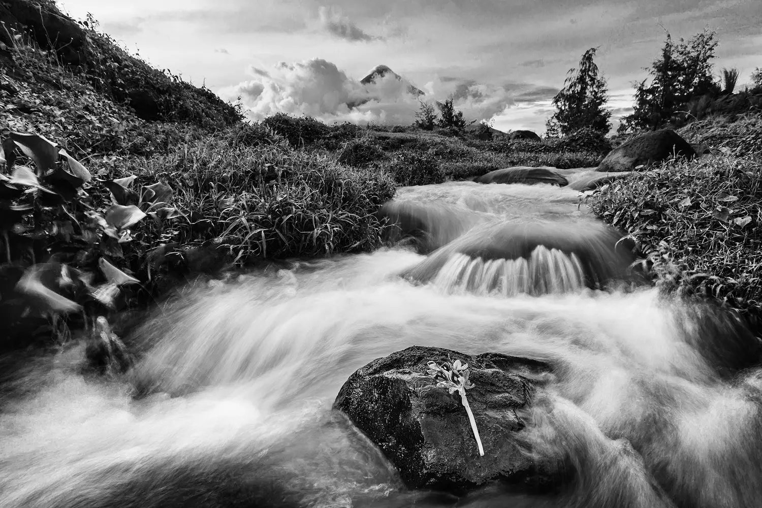 Lugupeetud fotograaf, mõned teie fotod on nõmedad ja see on okei 24431_1