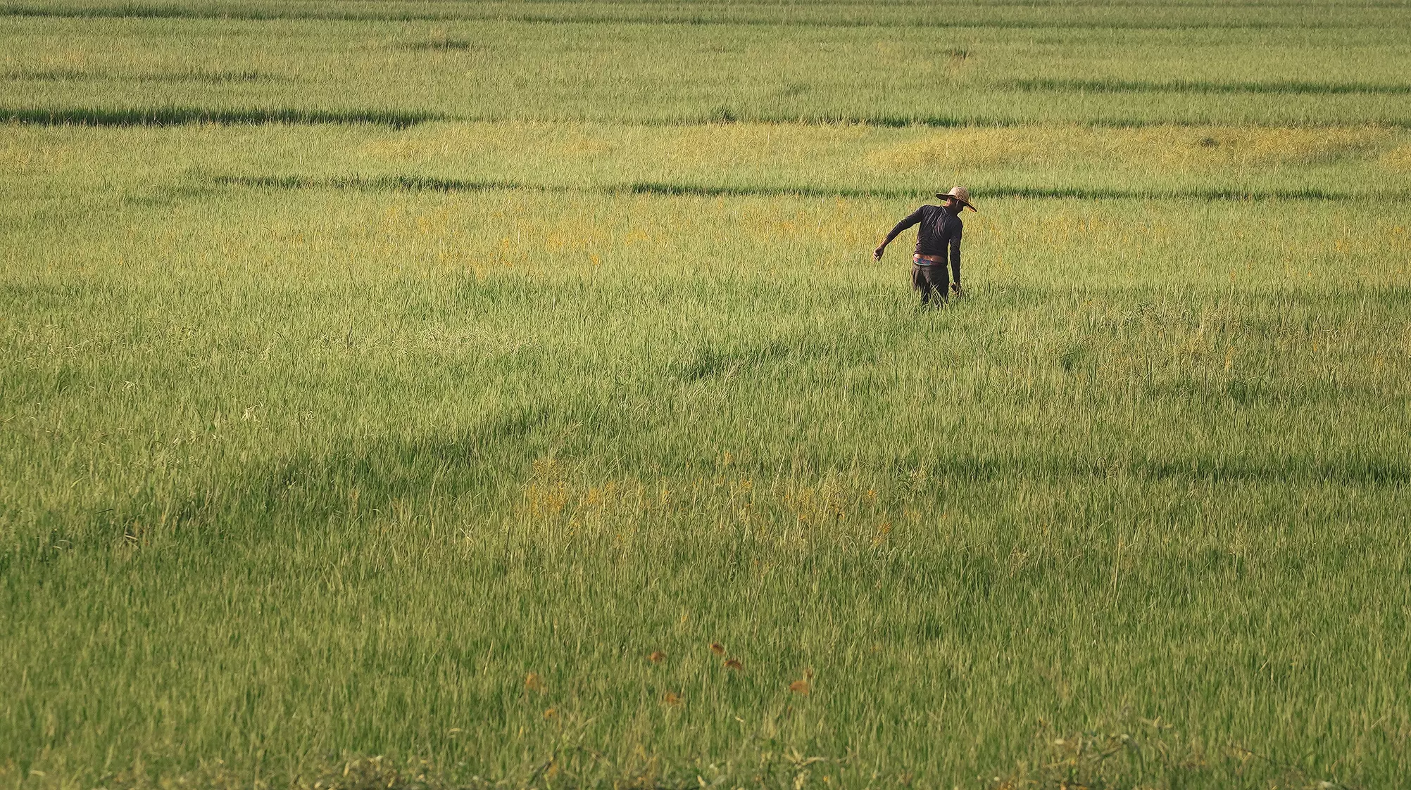 Frame feno amin'ny endrika vaovao: Fstoppers mandinika ny Sony a7C 2468_9