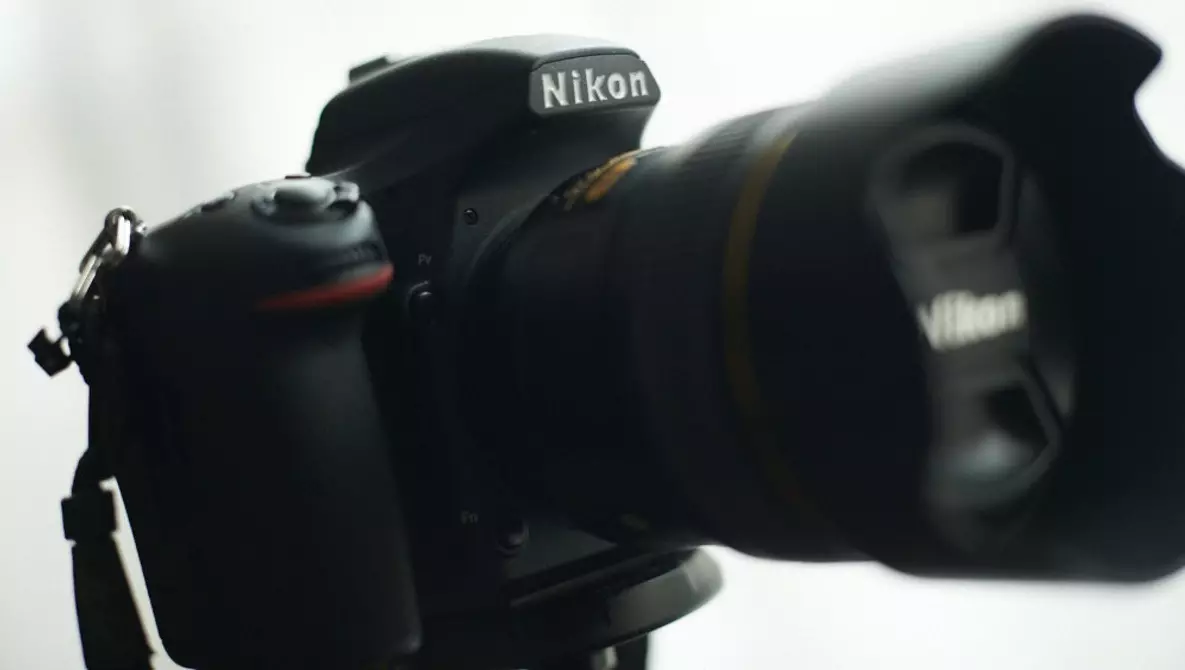 In resinsje fan Nikon út in saaklik perspektyf