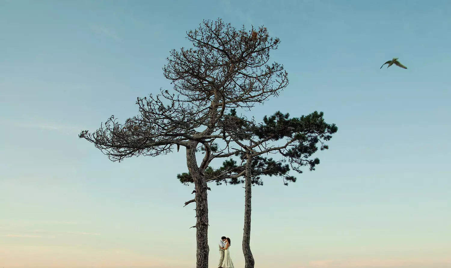 Дестинация Сватбен фотограф Джонас Питърсън и изкуството на разказването на истории 24868_8