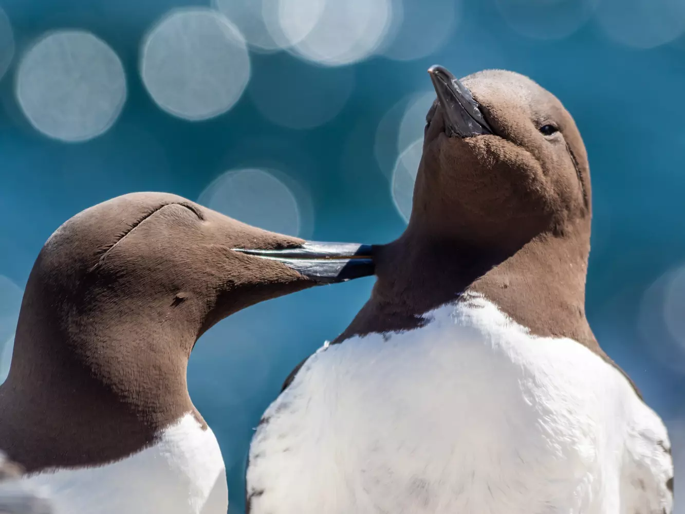 Warum Emotionen in Ihrer Fotografie so wichtig sind 25015_1