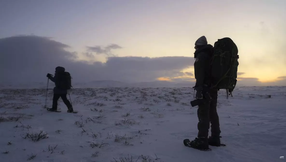 Hannert de Kulisse vun engem 4-Dag Wanter Wildlife Shoot an der norwegescher Wilderness