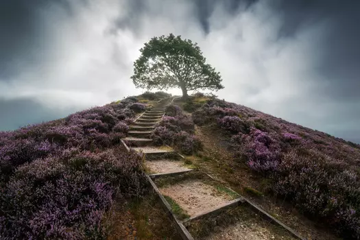 Waarom Denemarke die fantastiese landskapfotografieland is wat jy nooit sal besoek nie 25625_10