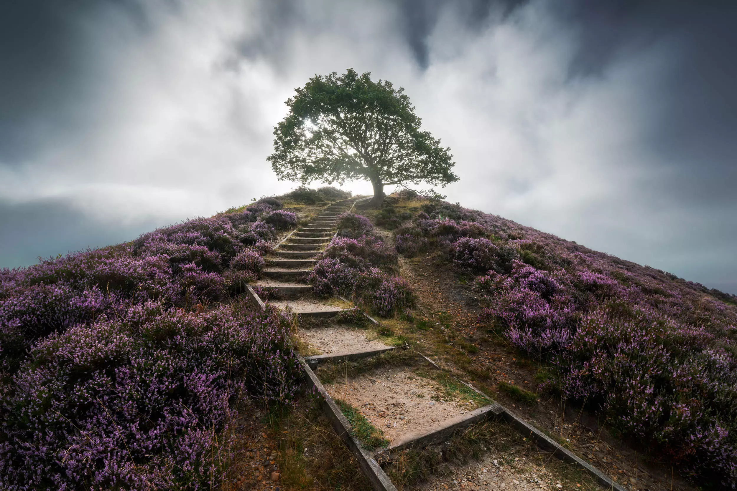 Pourquoi le Danemark est le pays fantastique de la photographie de paysage que vous ne visiterez jamais 25625_2