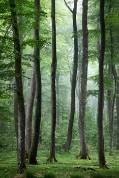 Por que Dinamarca é o país fantástico de fotografía de paisaxes que nunca visitarás 25625_21