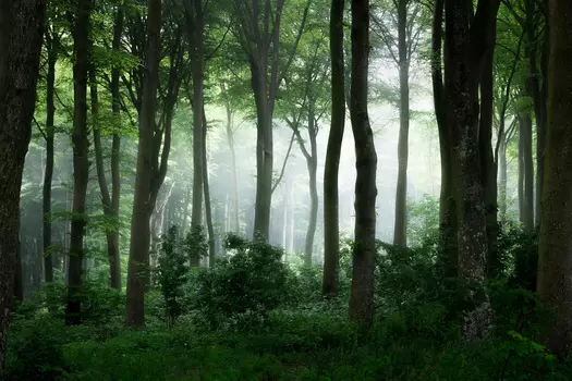 Warum Dänemark das fantastische Land für Landschaftsfotografie ist, das Sie niemals besuchen werden 25625_22