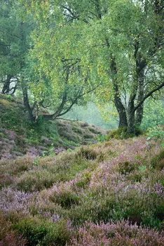 Waarom Denemarke die fantastiese landskapfotografieland is wat jy nooit sal besoek nie 25625_28