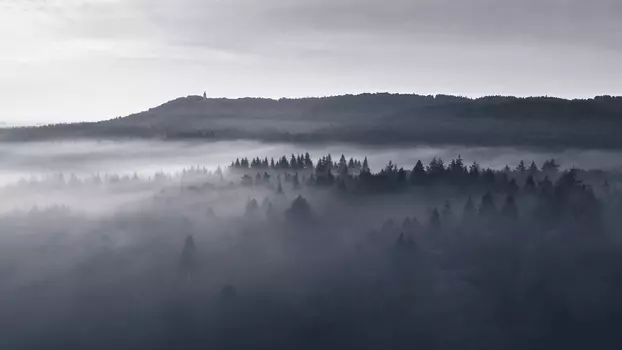 Warum Dänemark das fantastische Land für Landschaftsfotografie ist, das Sie niemals besuchen werden 25625_29