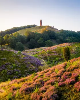 Warum Dänemark das fantastische Land für Landschaftsfotografie ist, das Sie niemals besuchen werden 25625_30