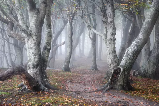 Waarom Denemarke die fantastiese landskapfotografieland is wat jy nooit sal besoek nie 25625_31