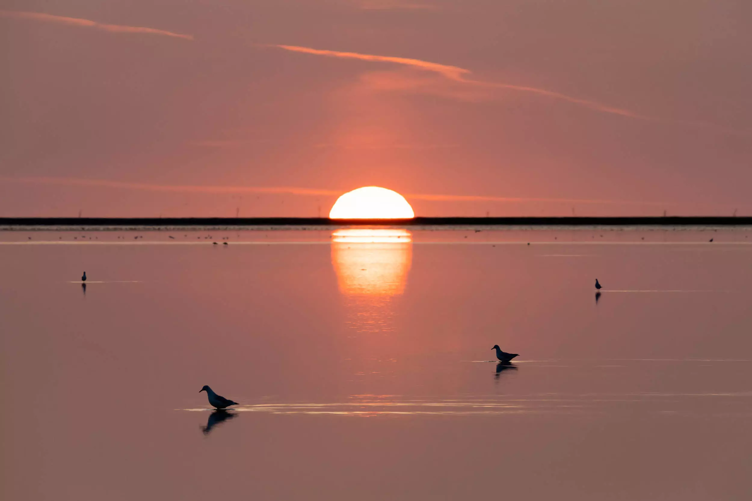 Waarom Denemarken het fantastische landschapsfotografieland is dat je nooit zult bezoeken 25625_4