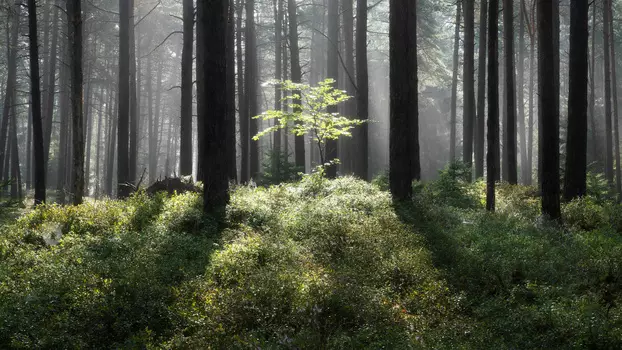 Waarom Denemarken het fantastische landschapsfotografieland is dat je nooit zult bezoeken 25625_42