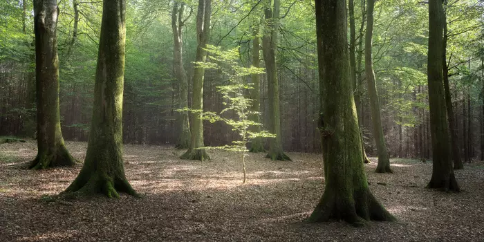 Waarom Denemarken het fantastische landschapsfotografieland is dat je nooit zult bezoeken 25625_44