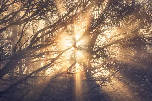 Pourquoi le Danemark est le pays fantastique de la photographie de paysage que vous ne visiterez jamais 25625_45