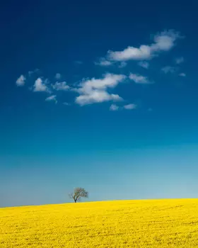 Danimarka Neden Asla Ziyaret Etmeyeceğiniz Muhteşem Manzara Fotoğrafçılığı Ülkesidir? 25625_48