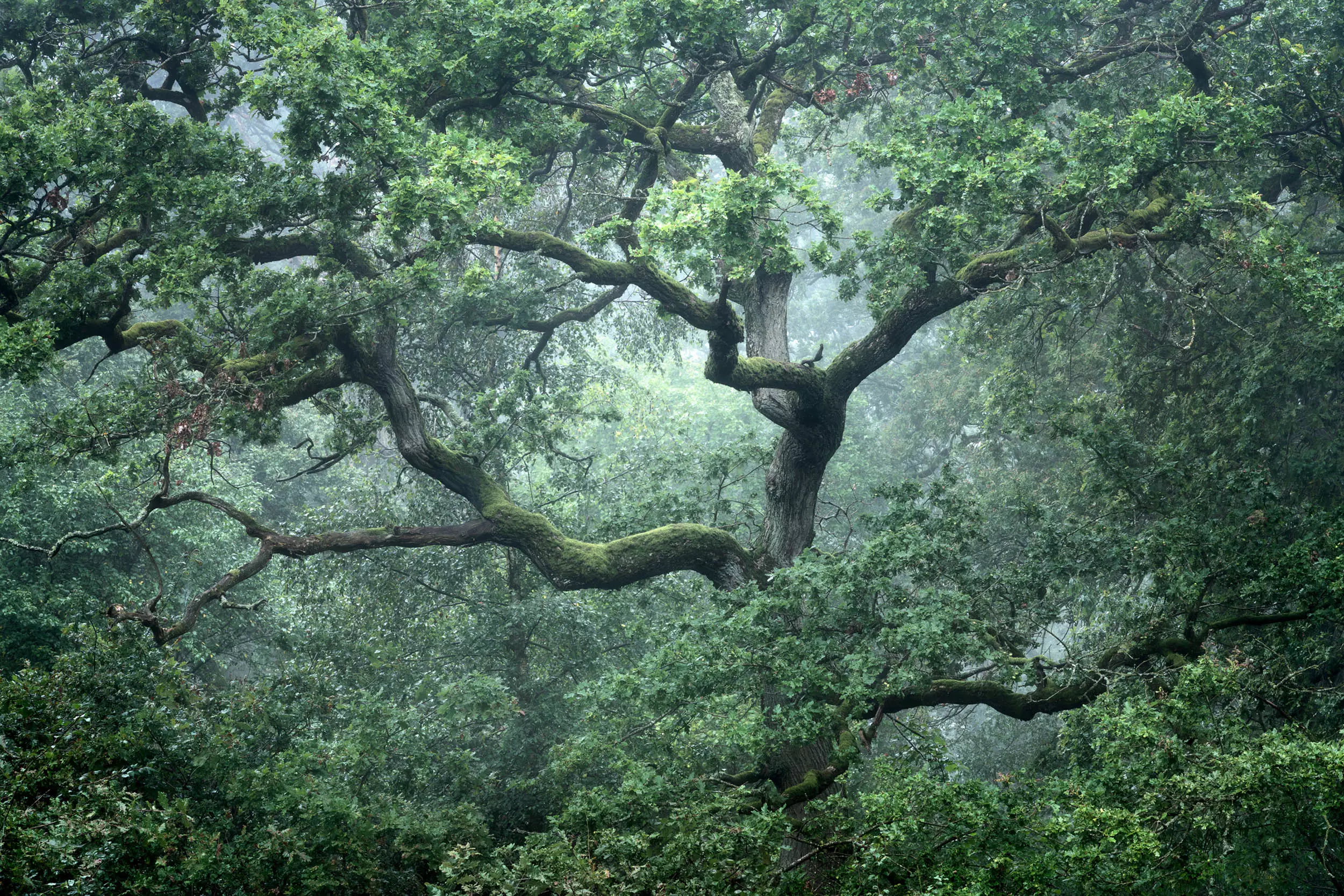 Waarom Denemarke die fantastiese landskapfotografieland is wat jy nooit sal besoek nie 25625_5