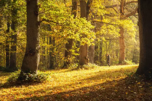 Pourquoi le Danemark est le pays fantastique de la photographie de paysage que vous ne visiterez jamais 25625_50