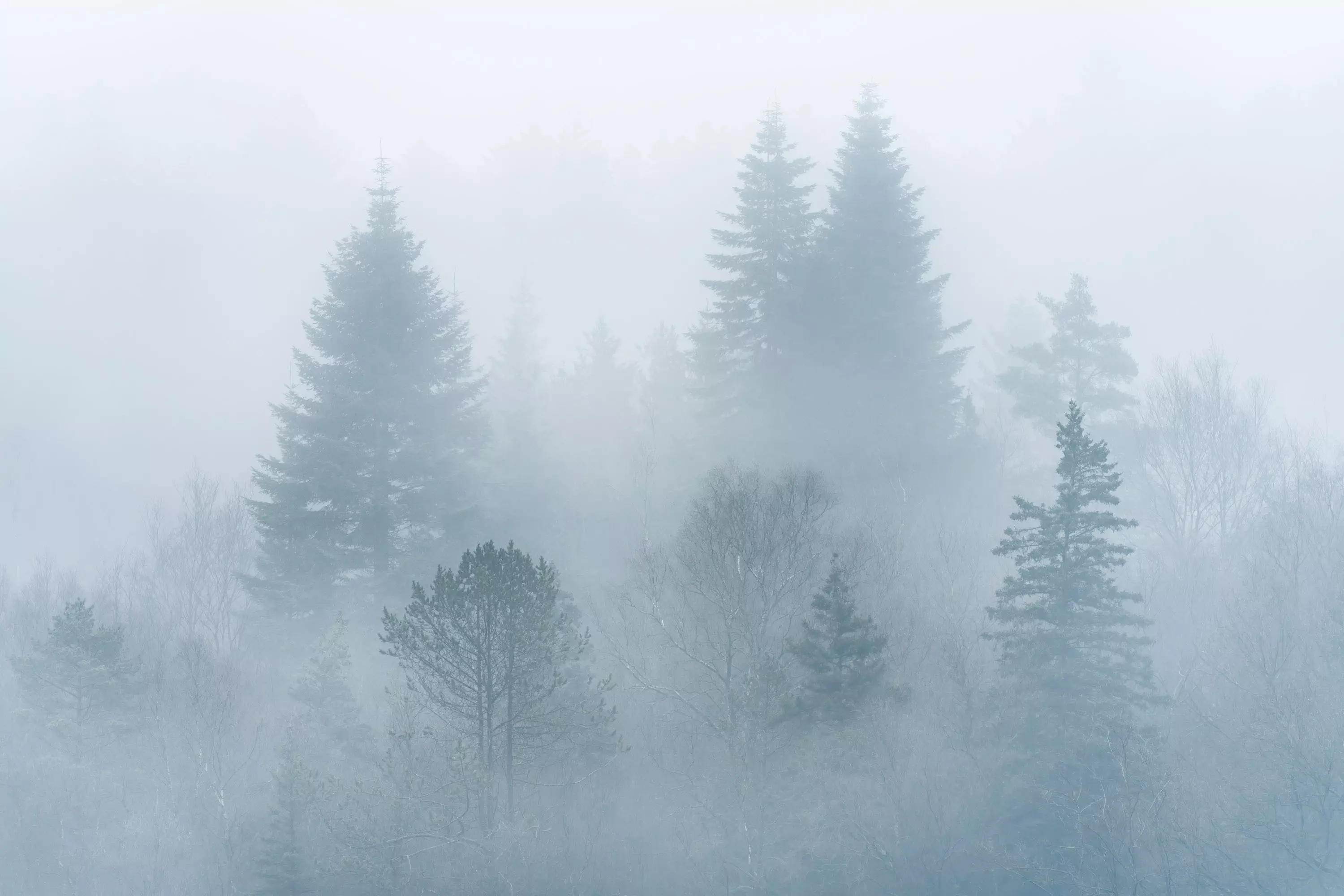 3 Consellos sinxelos de fotografía de paisaxes para disparar en inverno gris e aburrido 25629_8