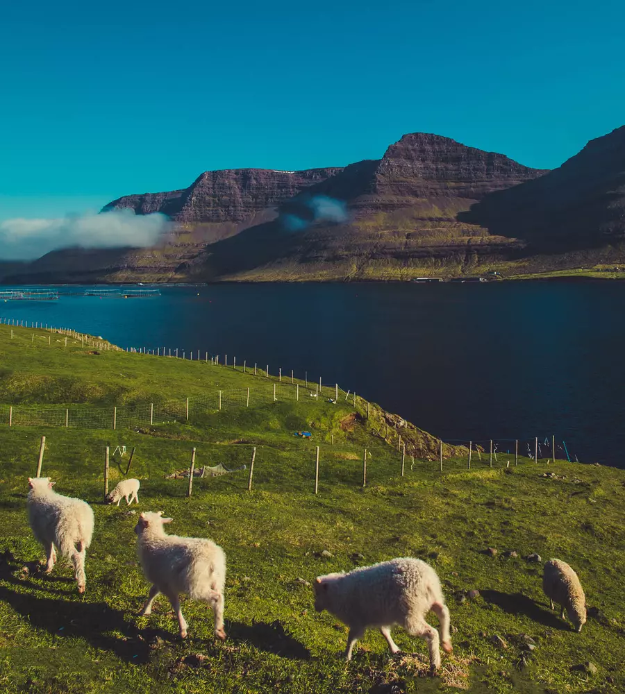 Pesë ditë në Ishujt Faroe 26302_9