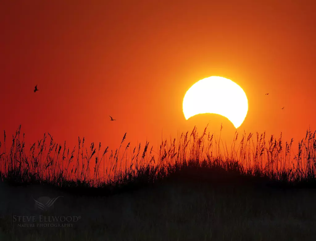 Unsaon Pag-litrato sa Total Solar Eclipse ug Pagbaton ug Mas Maayo nga mga Imahen Uban sa Sky-Watcher Star Adventurer Mini 26331_1