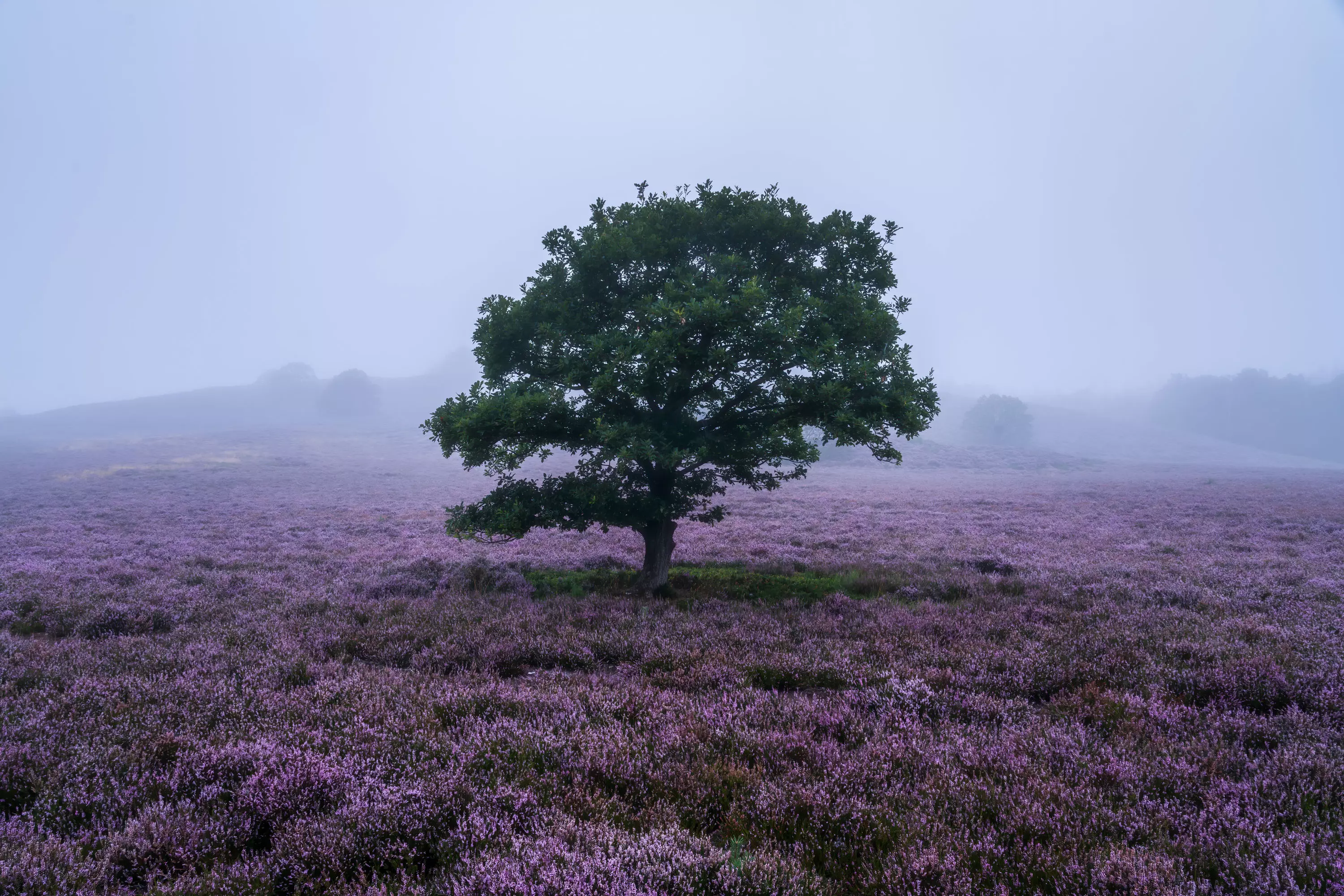 7 erros de fotografía de paisaxes que hai que evitar agora mesmo 26883_2