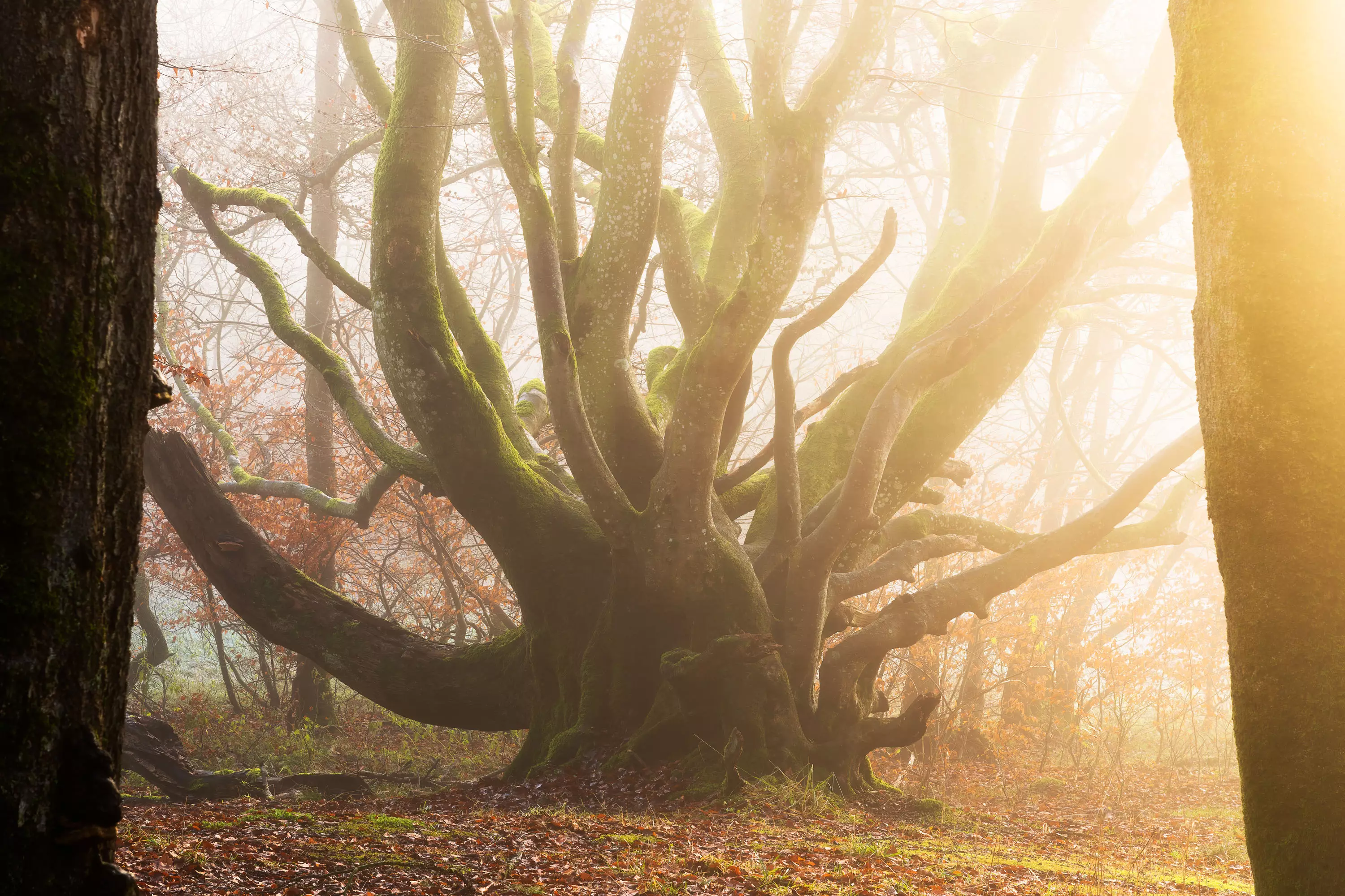 7 erros de fotografía de paisaxes que hai que evitar agora mesmo 26883_4