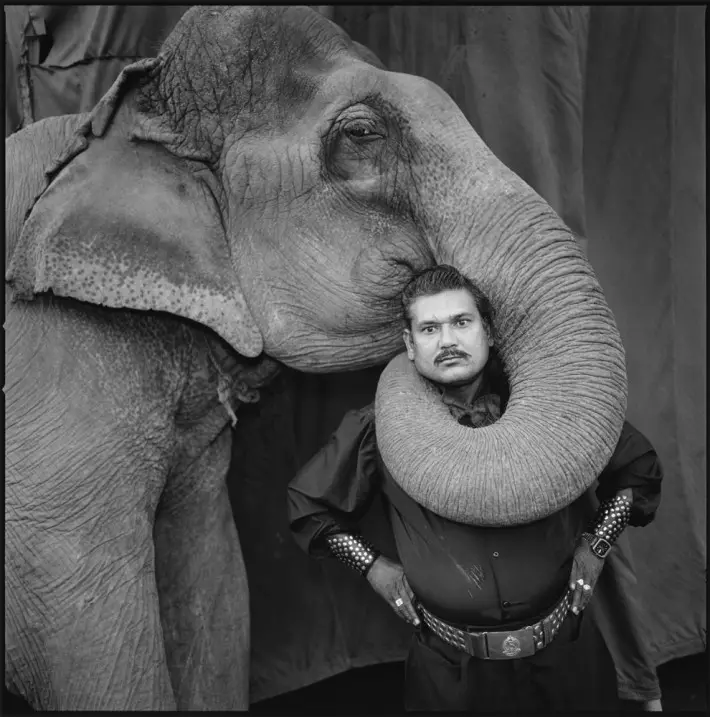 Име на изображението: Рам Пракаш Сингх със своя слон Шяма, Големият златен цирк, Ахмедабад, Индия 1990 г. Индийски цирк Авторско право: @Mary Ellen Mark