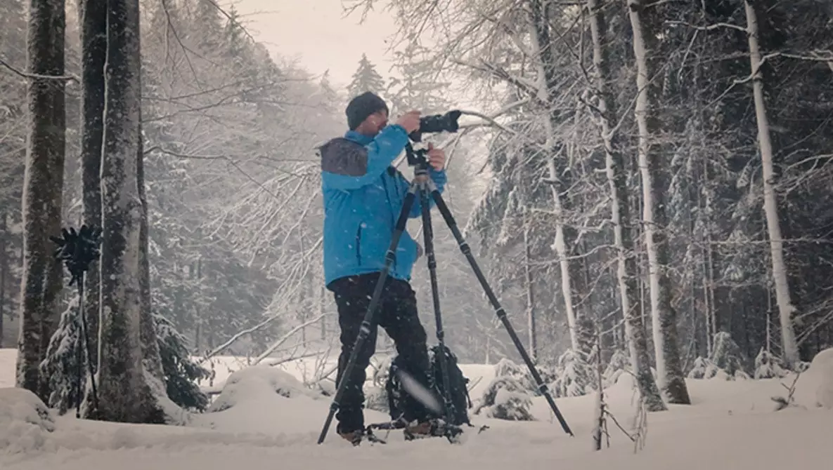 Kā atrast kompozīciju sekundes daļā Woodland fotogrāfijā