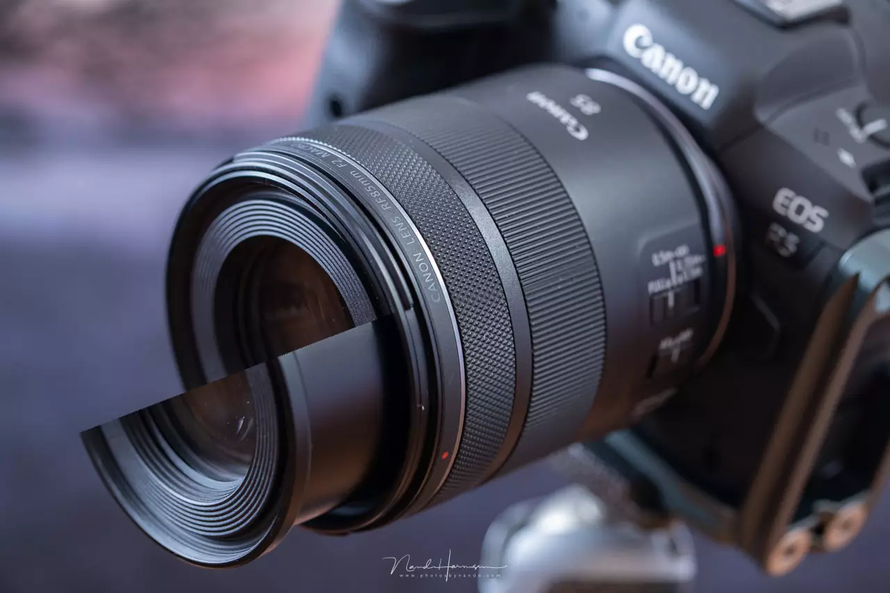 Fstoppers Canon RF 85mm f/2 Macro IS STM లెన్స్ను సమీక్షించింది 28004_4