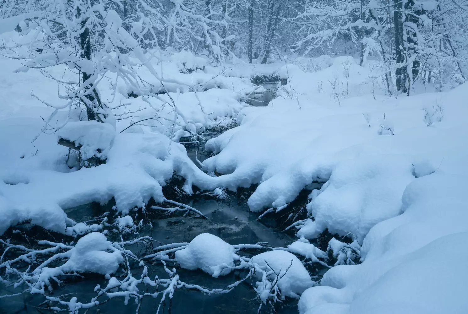 Das größte Hindernis im Winter sind Sie selbst 2805_3