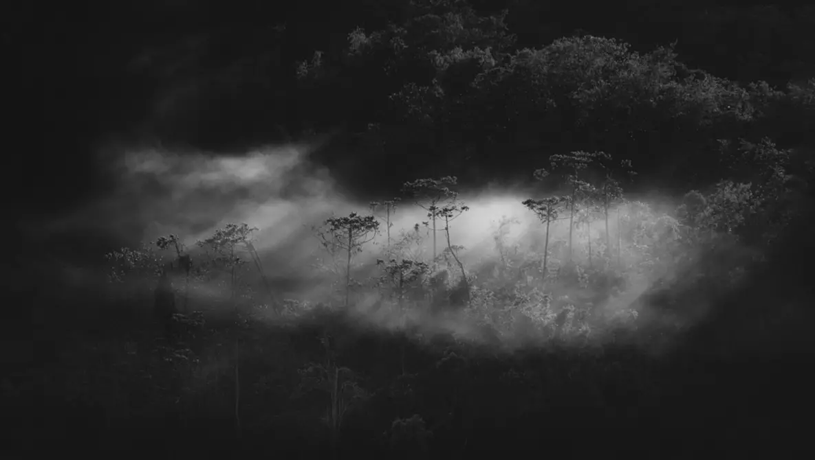 Is daar storievertelling in landskapfotografie?