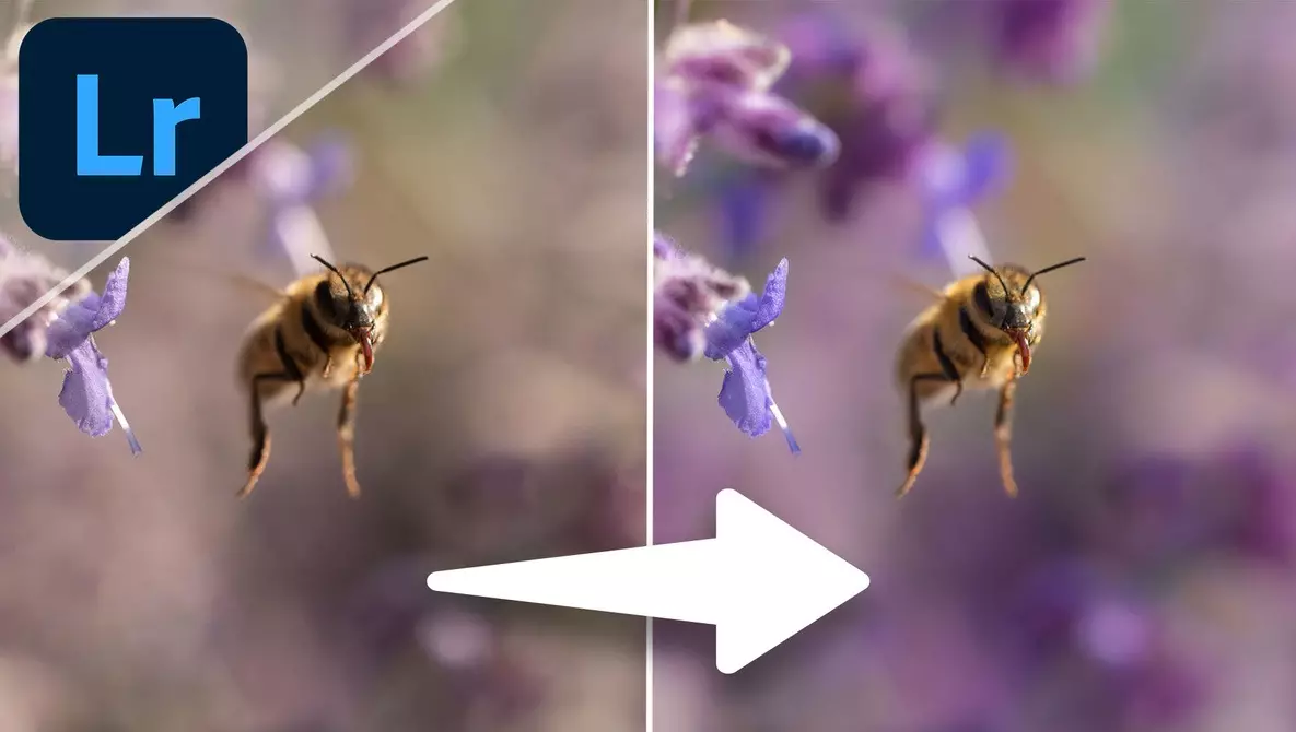 Gebruik Lightroom om natuurfoto's nieuw leven in te blazen