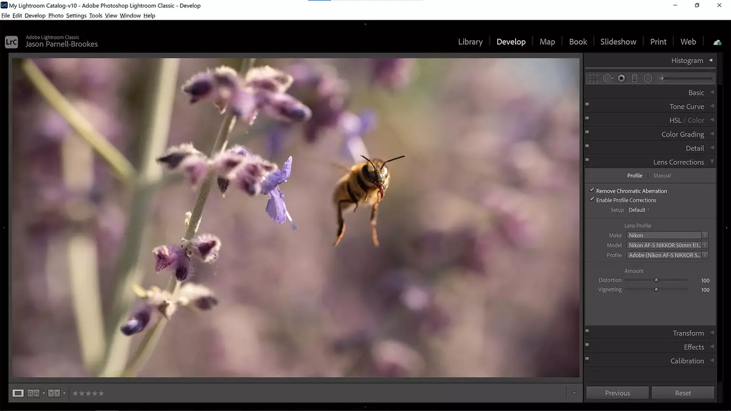 Gebruik Lightroom om natuurfoto's nieuw leven in te blazen 2820_3